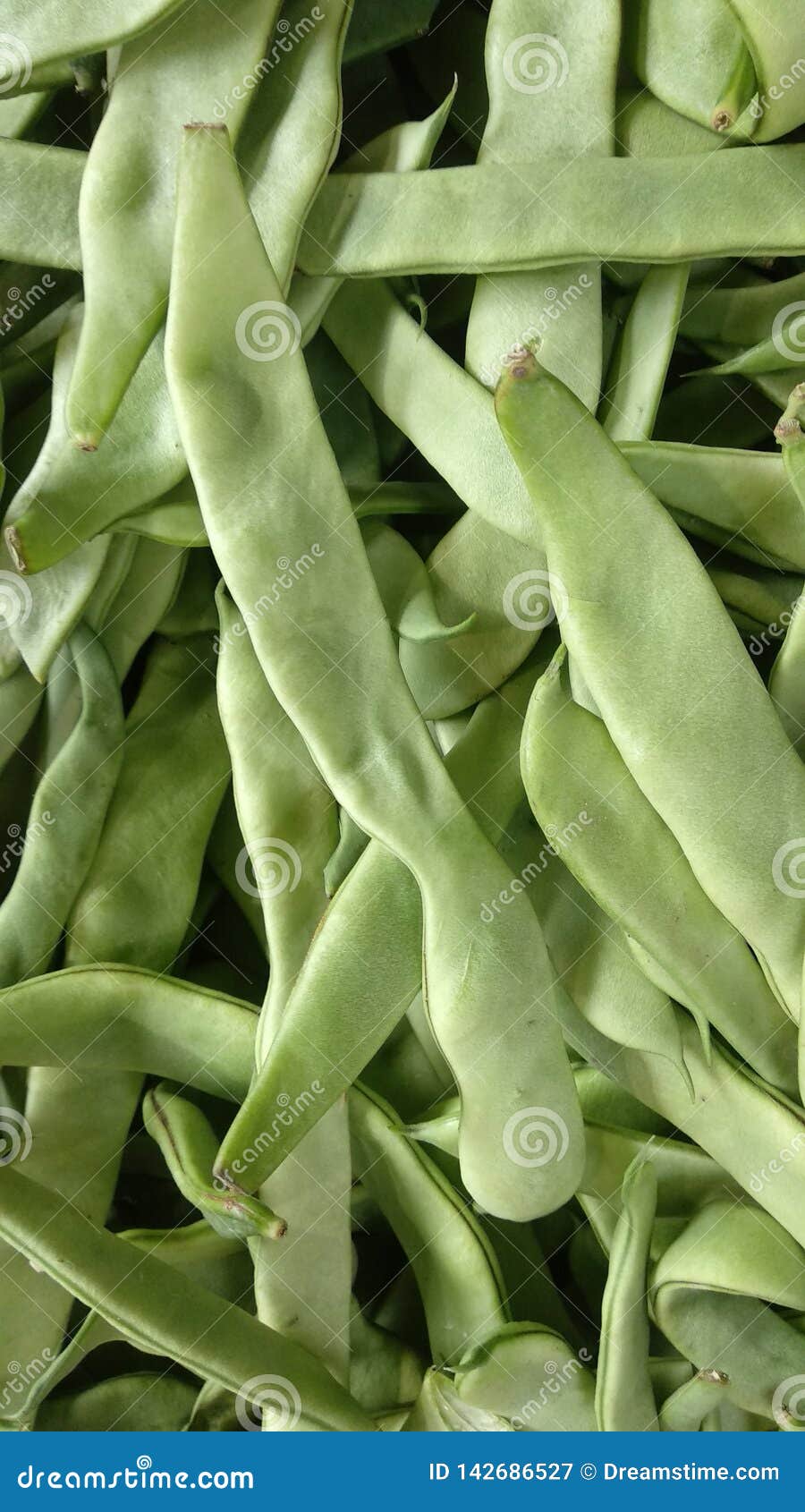 A Bunch of Beautiful Beans from the Supermarket Stock Image - Image of ...
