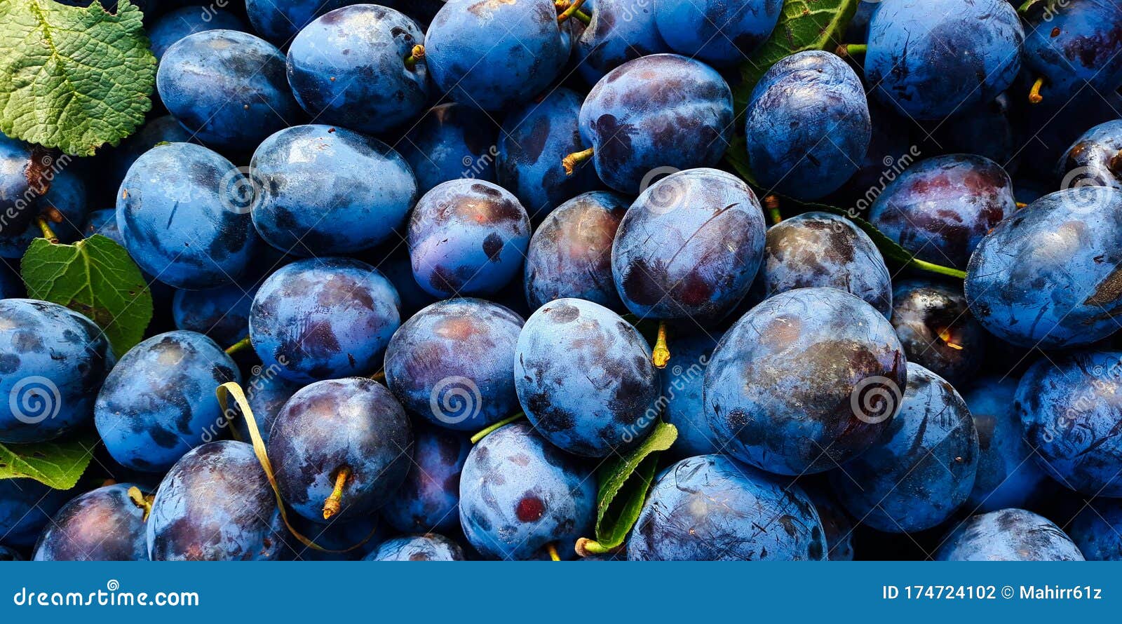 Bunch of Beautiful Blue Plums Stock Photo - Image of juice, health ...