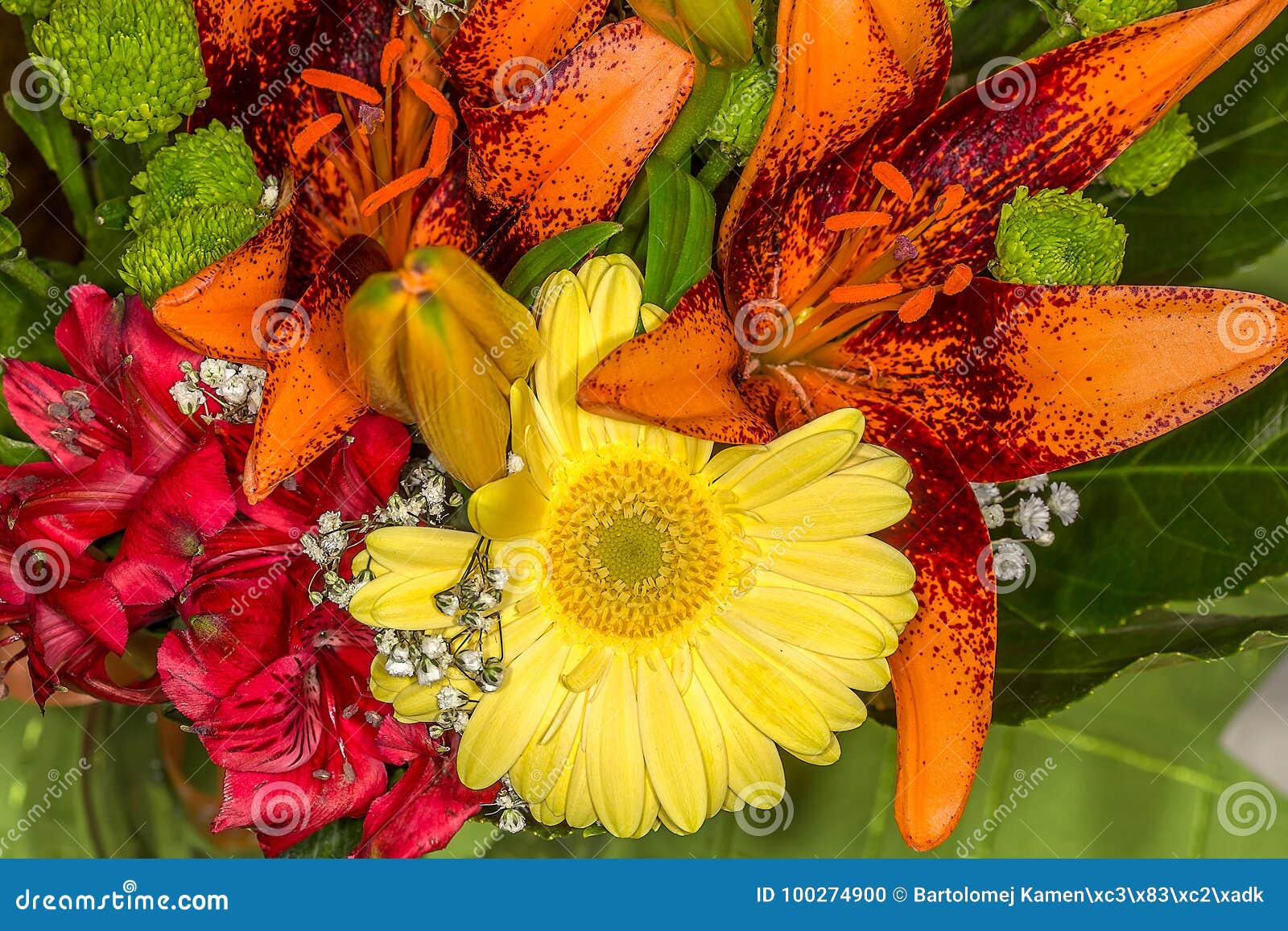 Bunch of Beautiful Flowers with Many Colors Stock Photo - Image of ...