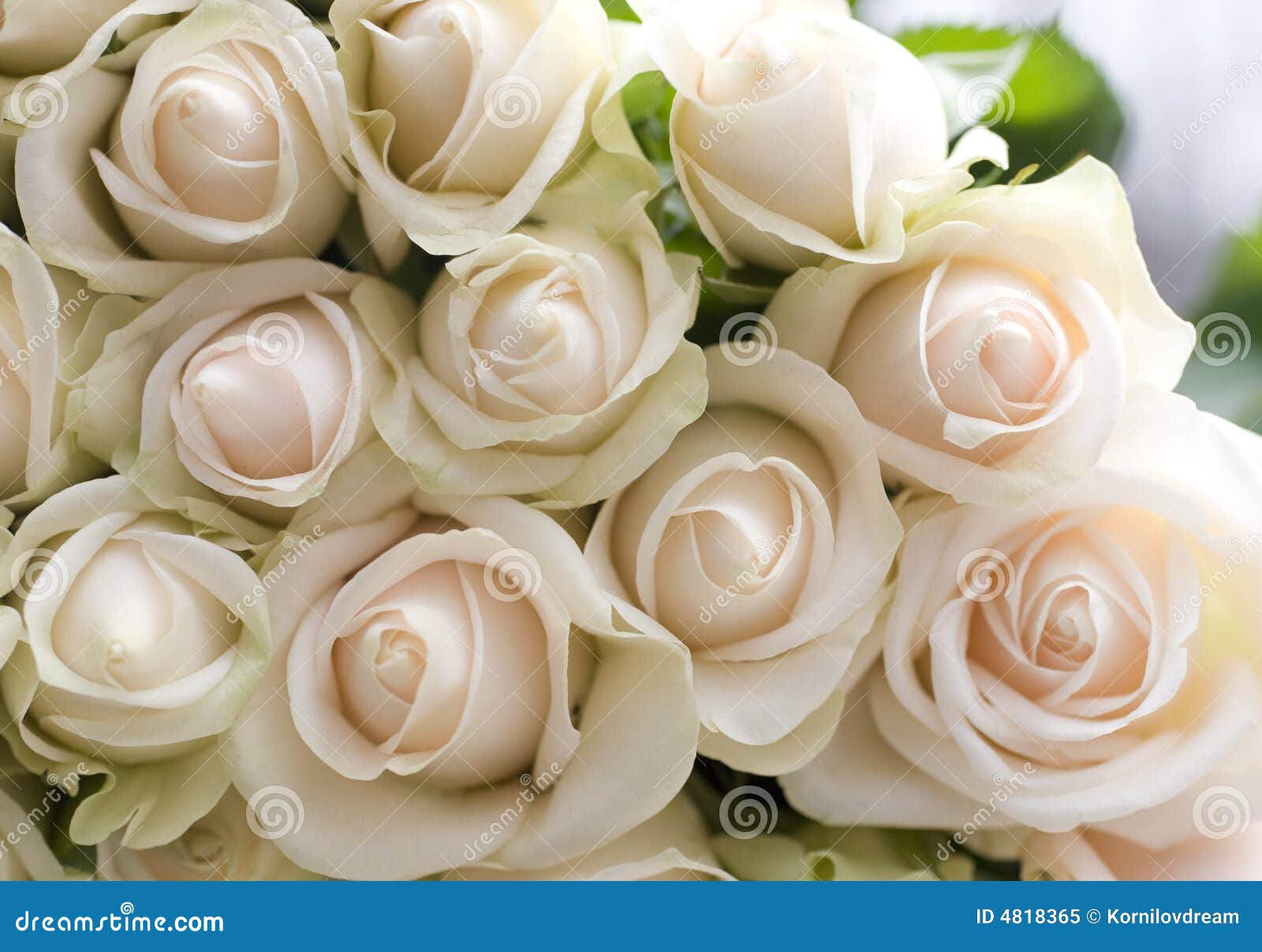 Bunch of beautiful roses stock image. Image of decoration - 4818365