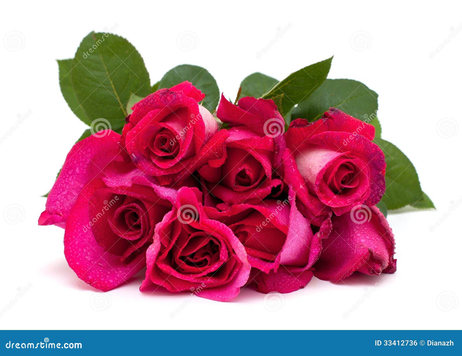 Bunch of Beautiful Roses with Water Drops Stock Photo - Image of love ...