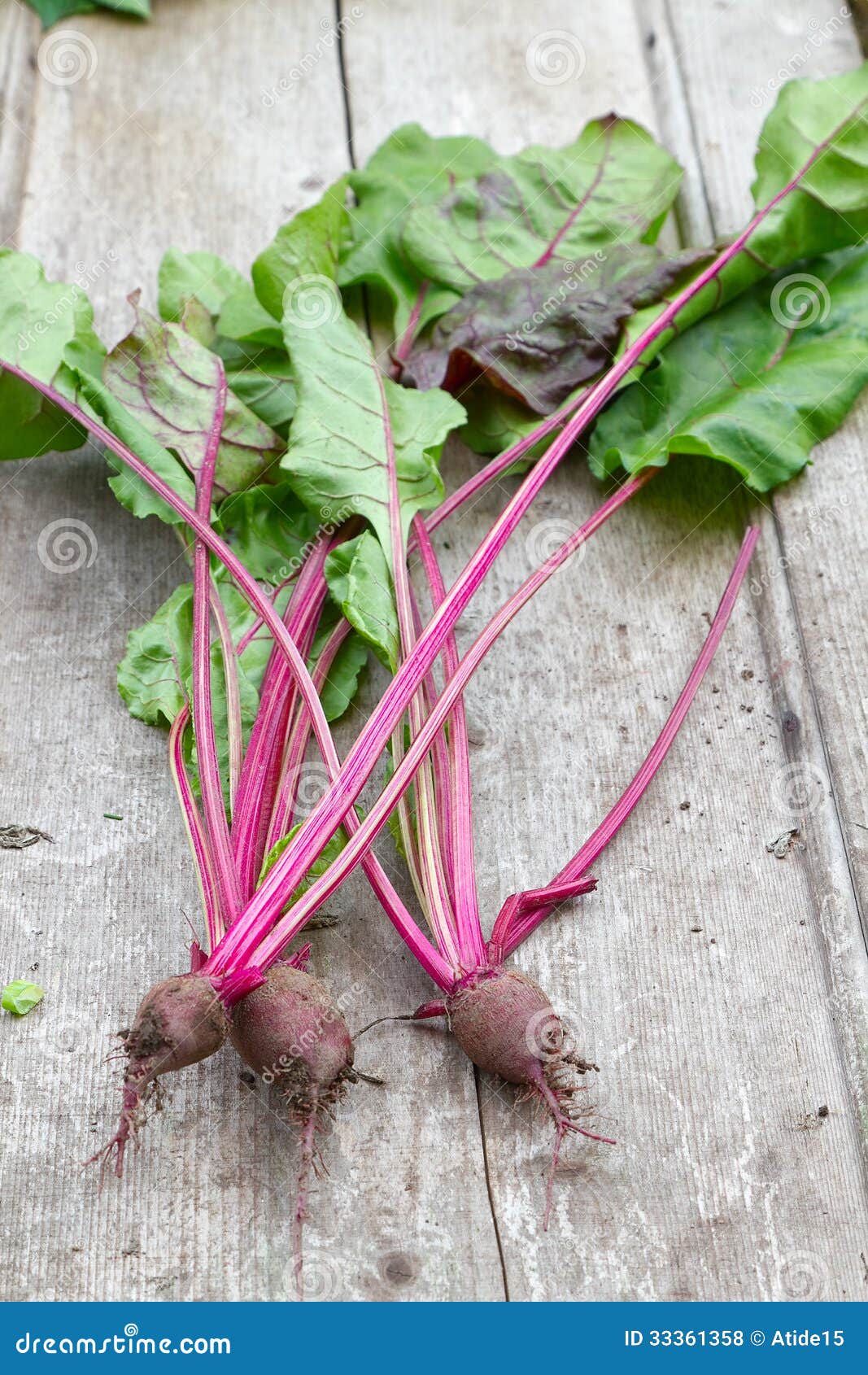 Bunch of Beetroot stock photo. Image of beetroot, vegetables - 33361358