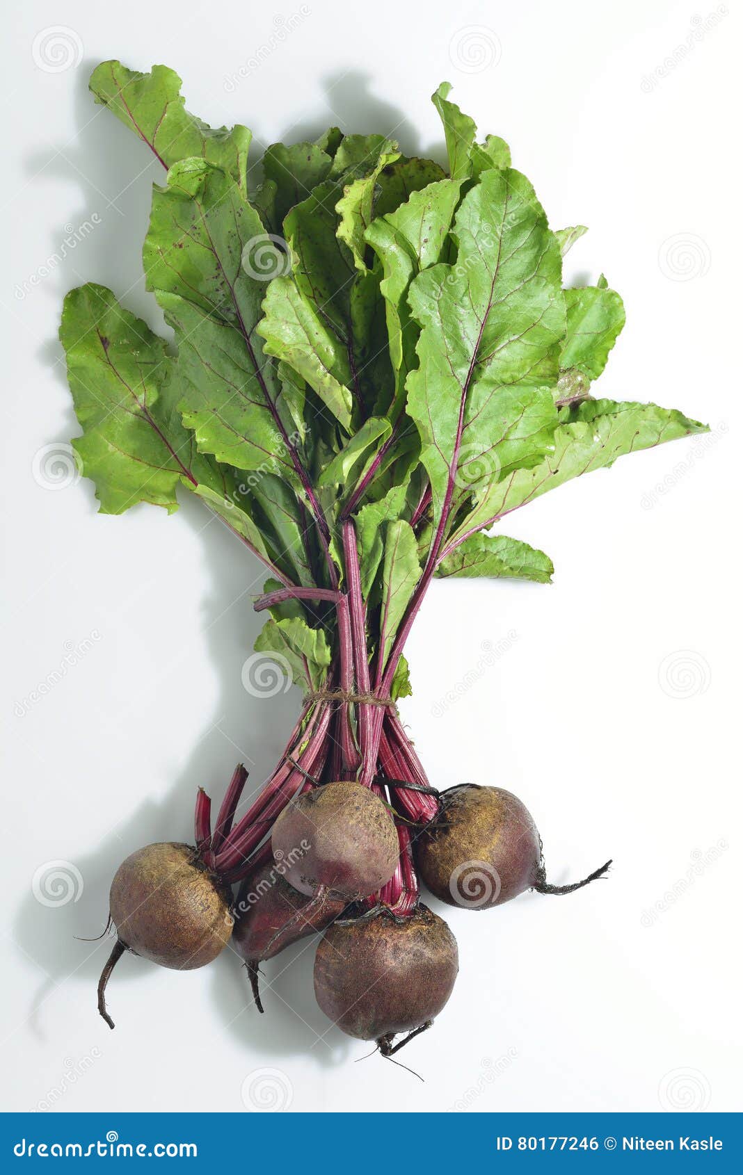 Bunch of Beetroot with Green Leafs on White Background Stock Photo ...