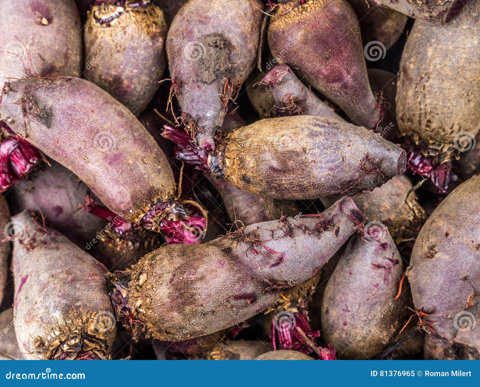 Bunch of beetroots stock image. Image of organic, health - 81376965