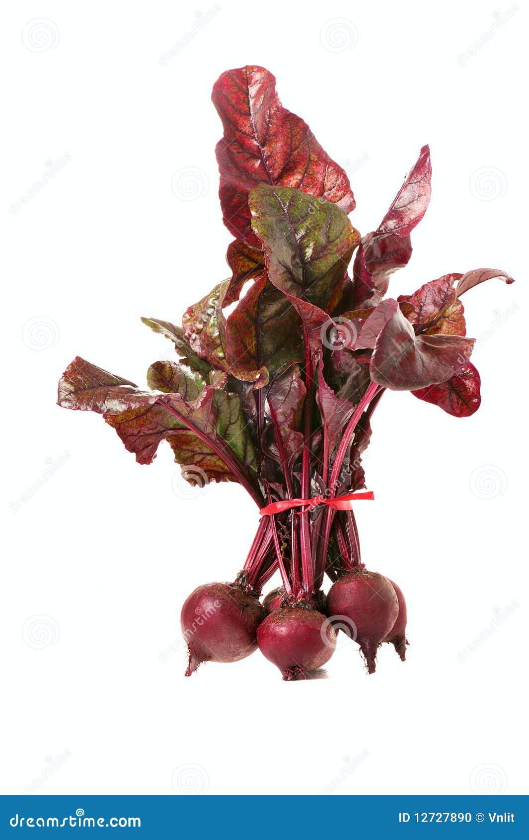 Bunch of beets stock photo. Image of healthy, beet, bunch - 12727890