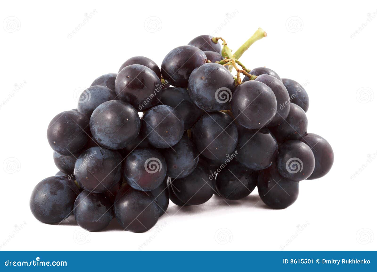 One Black Grape Bunch And Grape Leaves In Vineyard With Natural Light ...
