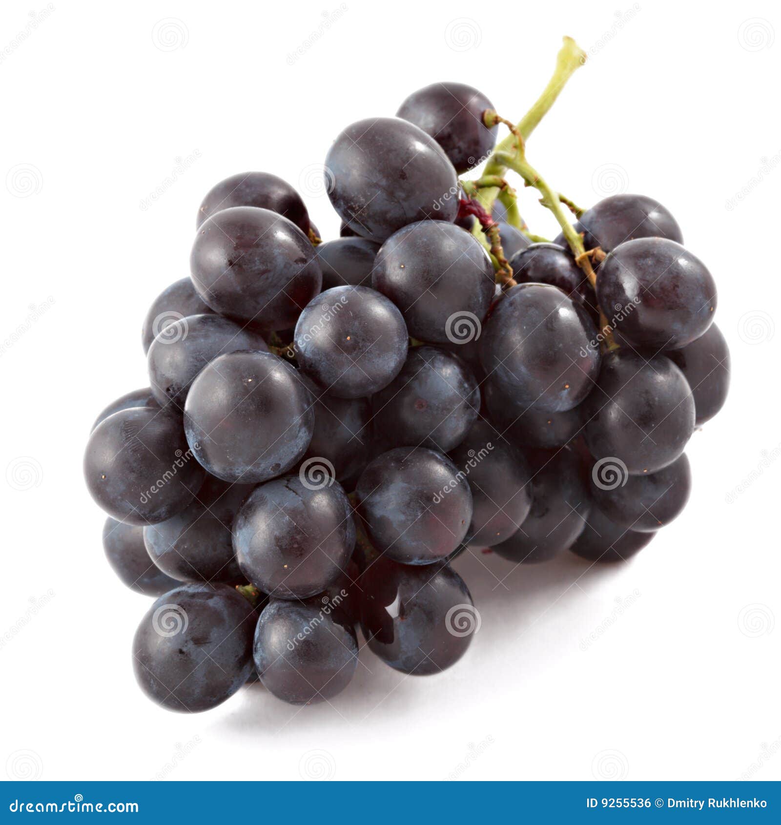 Bunch Of Black Grapes Isolated Stock Photo - Image of white, isolated ...