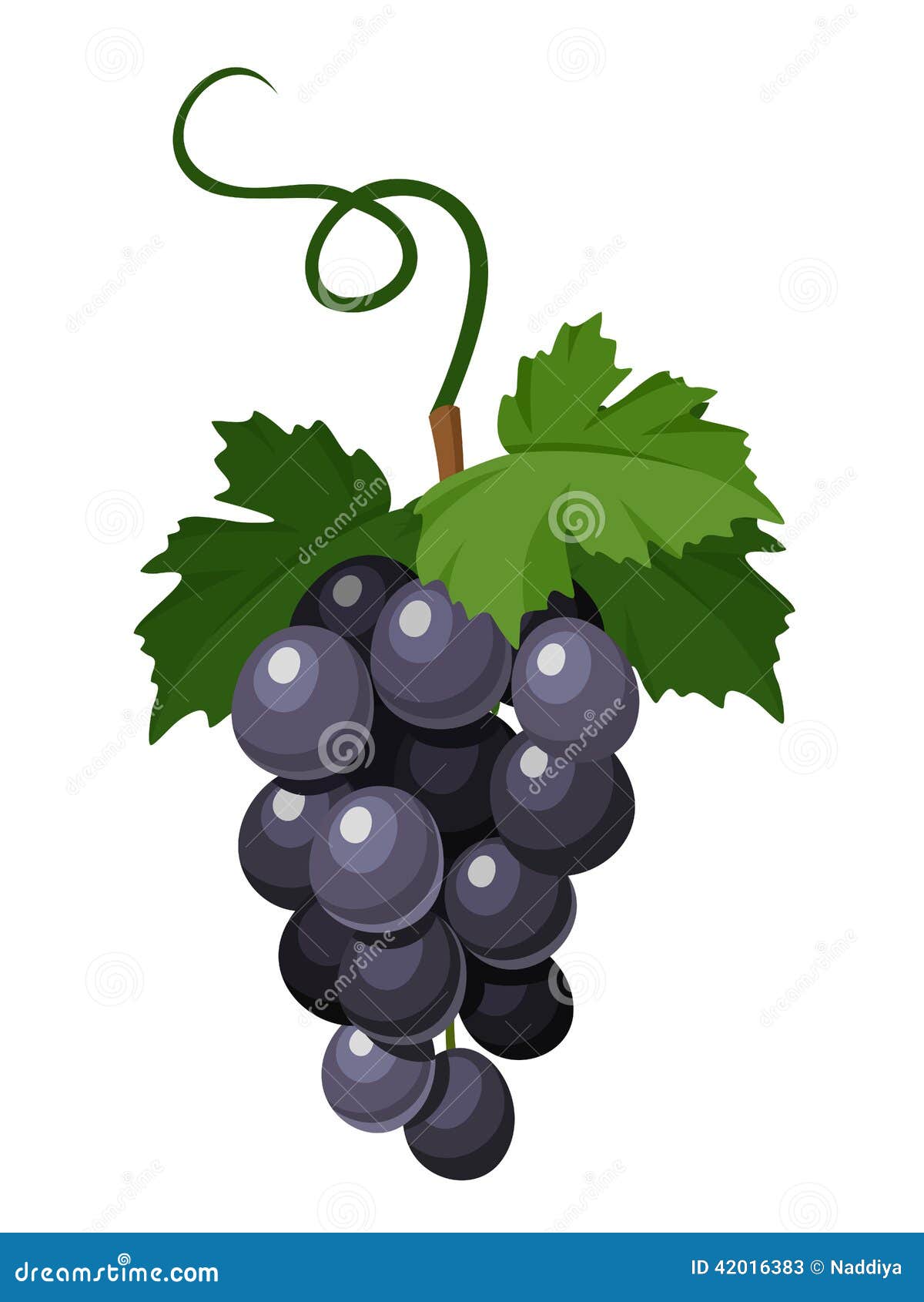 Bunch of Black Grapes. Vector Illustration. Stock Vector - Illustration ...