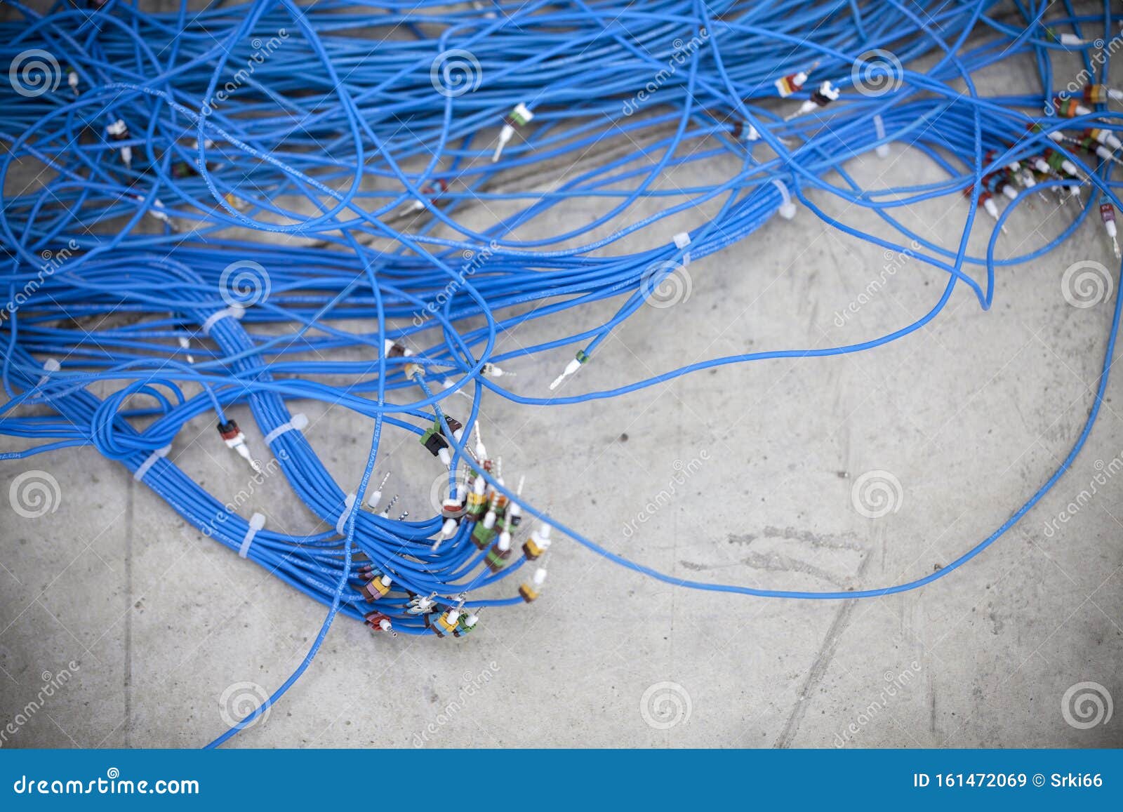 Bunch of Blue Cables with Connectors Stock Image - Image of equipment ...