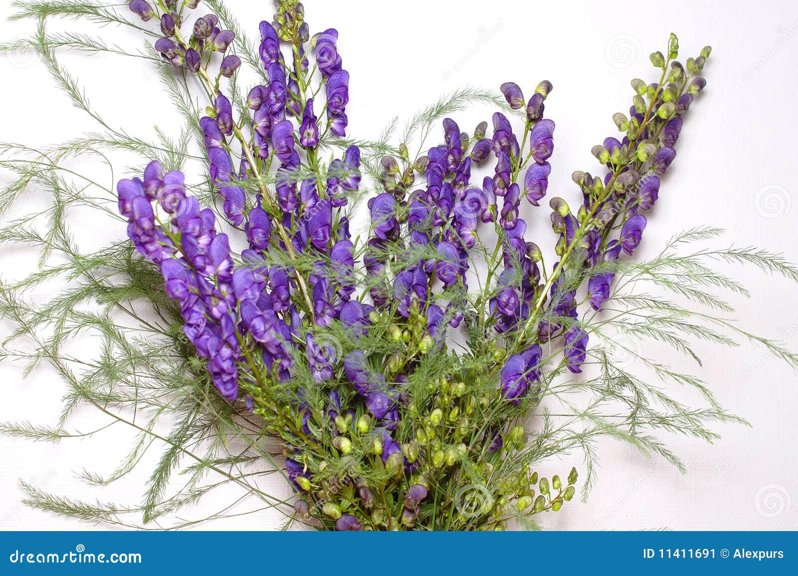 Bunch of Blue Field Flowers (bouquet). Stock Image - Image of wild ...