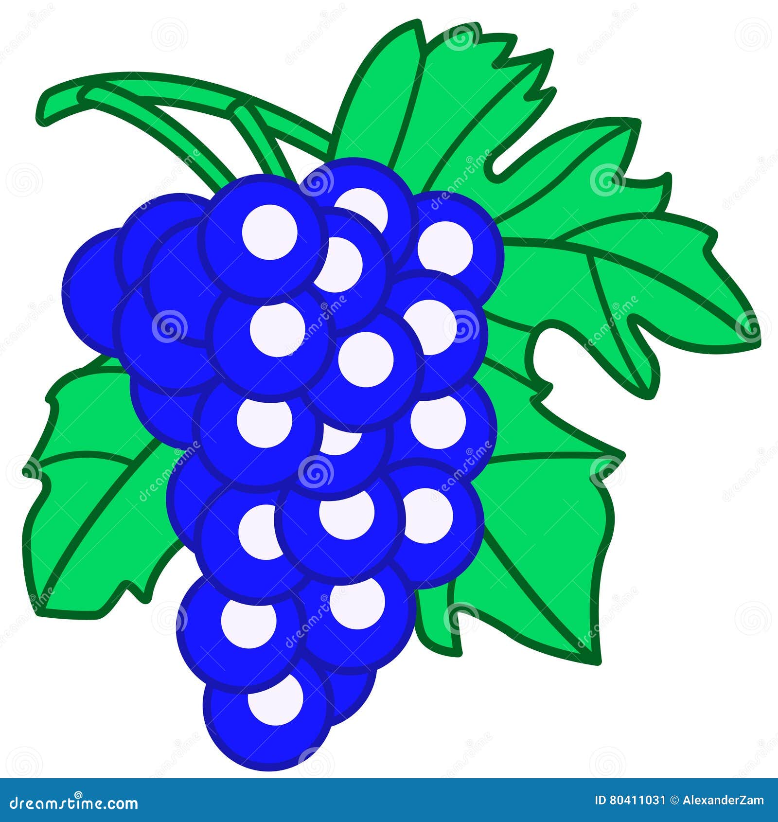 Bunch of blue grapes stock vector. Illustration of design - 80411031