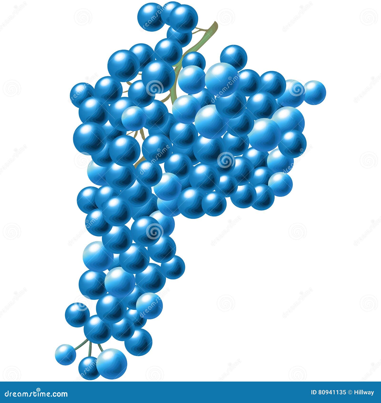 Bunch of blue grapes. stock vector. Illustration of slice - 80941135