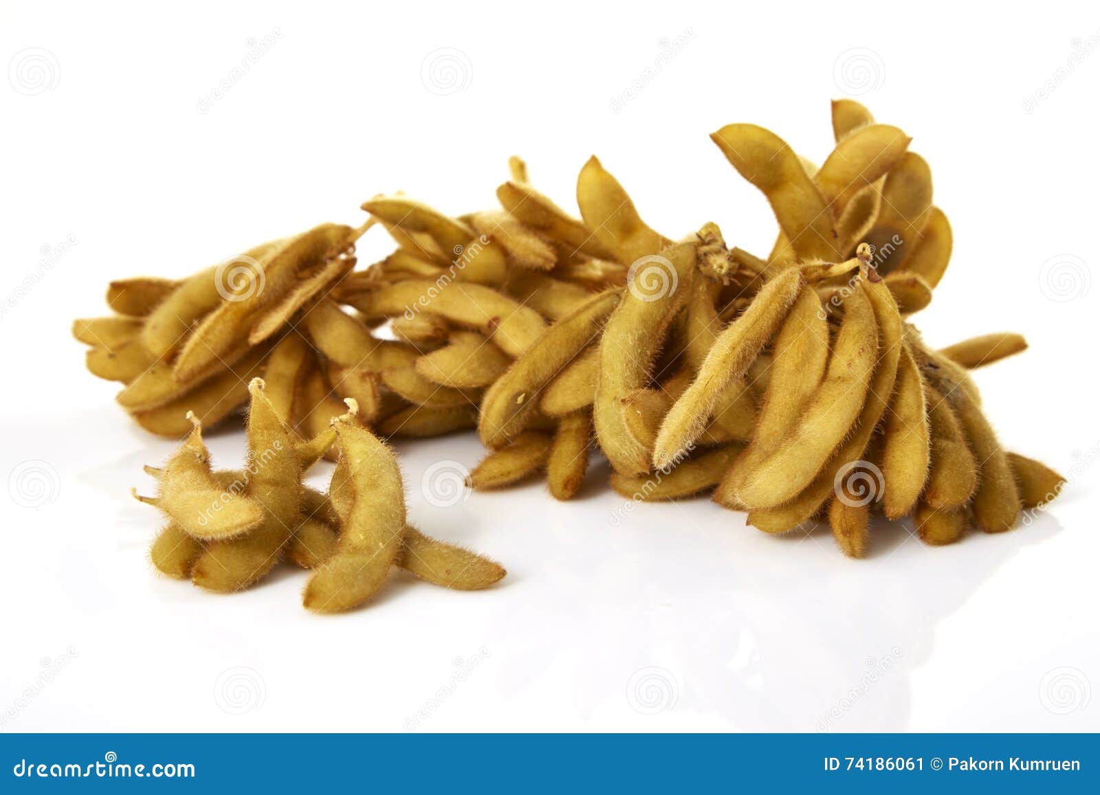 Bunch of Boiled Soybean with Shell Stock Image - Image of nutritious ...