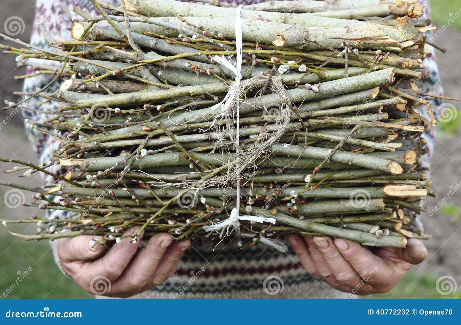 Bunch of branches stock photo. Image of heap, pile, finger - 40772232