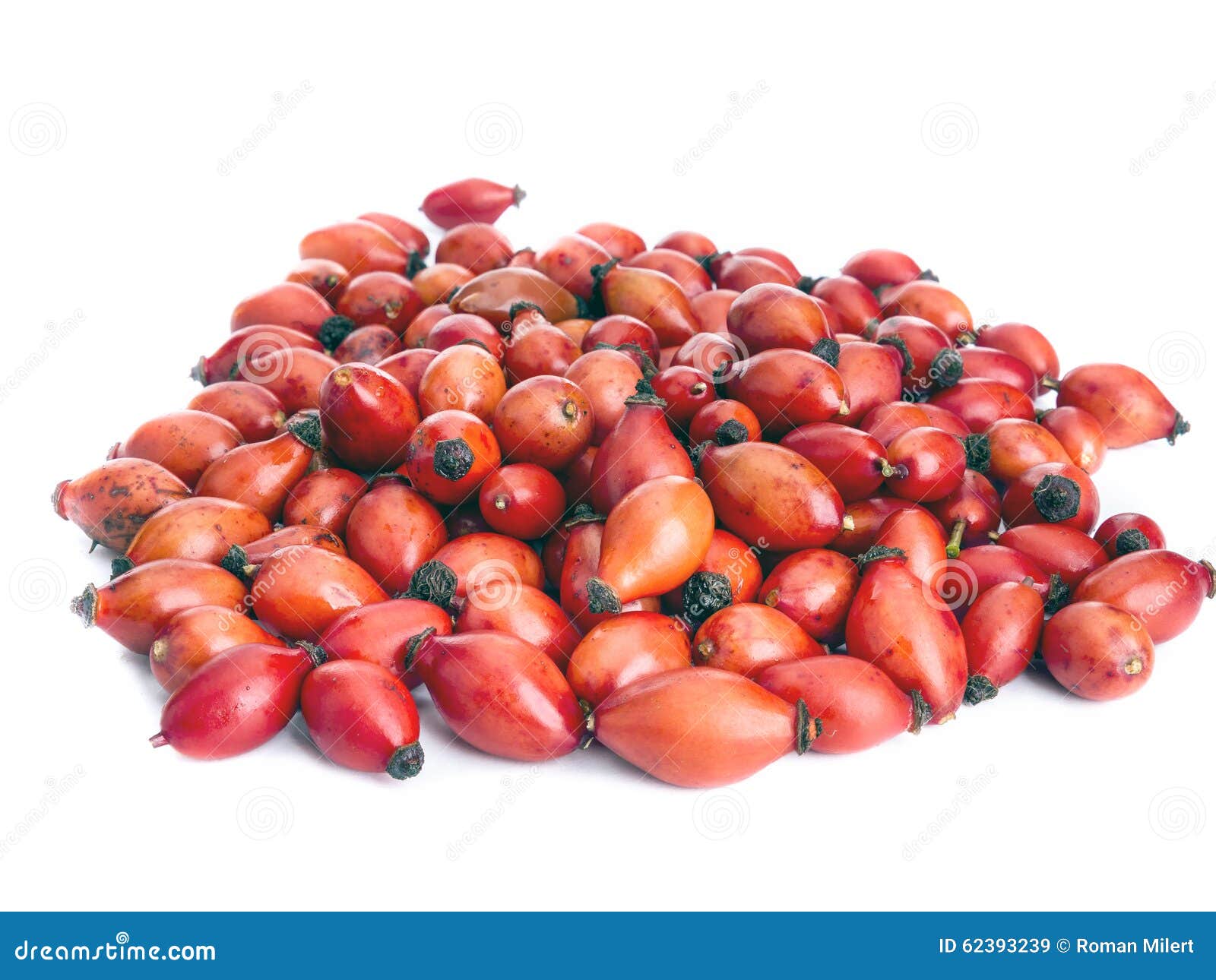 Bunch of briar fruit stock image. Image of herb, medicine - 62393239