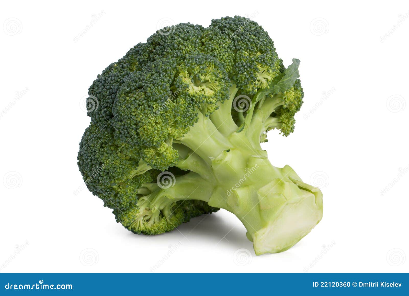 Bunch of Broccoli-like Branching Green Tree Stock Photo - Image of ...