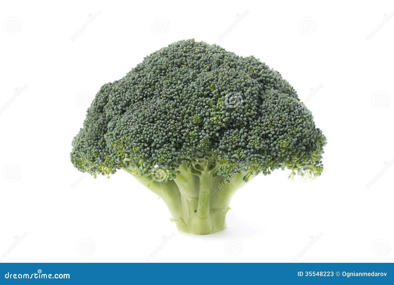 Bunch of Broccoli stock image. Image of fresh, foodstuff - 35548223