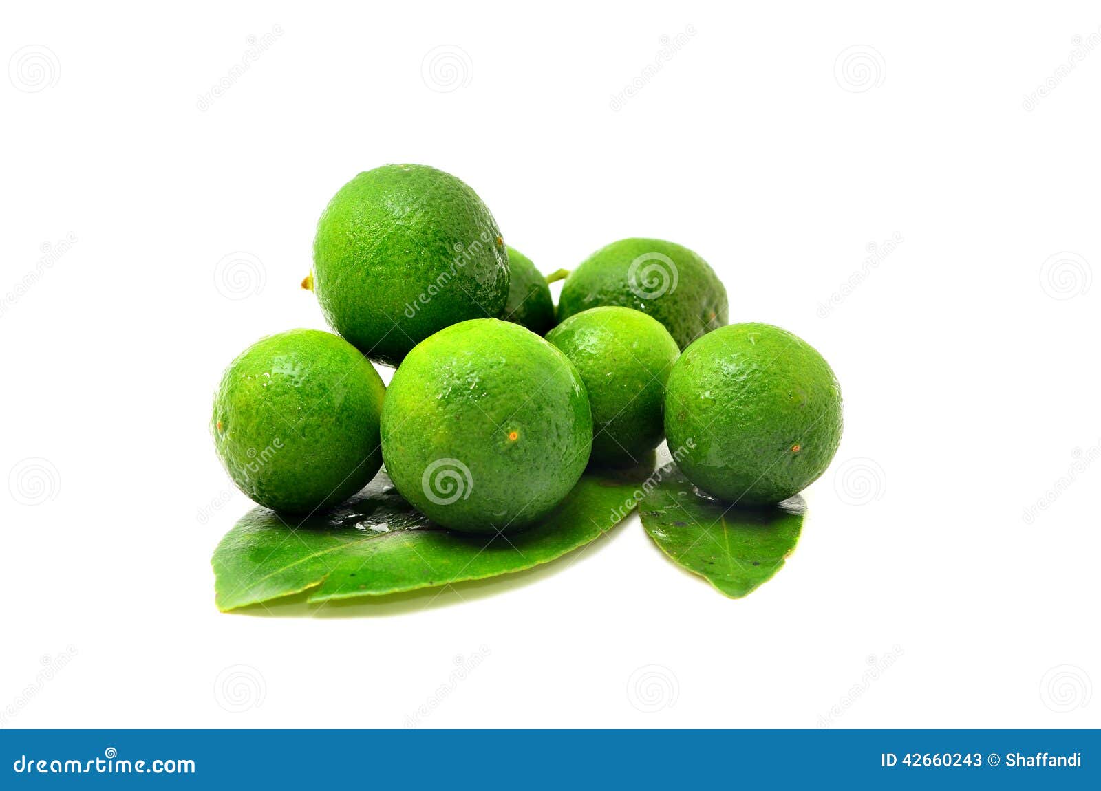A bunch of Calamansi stock image. Image of closeup, fruit - 42660243