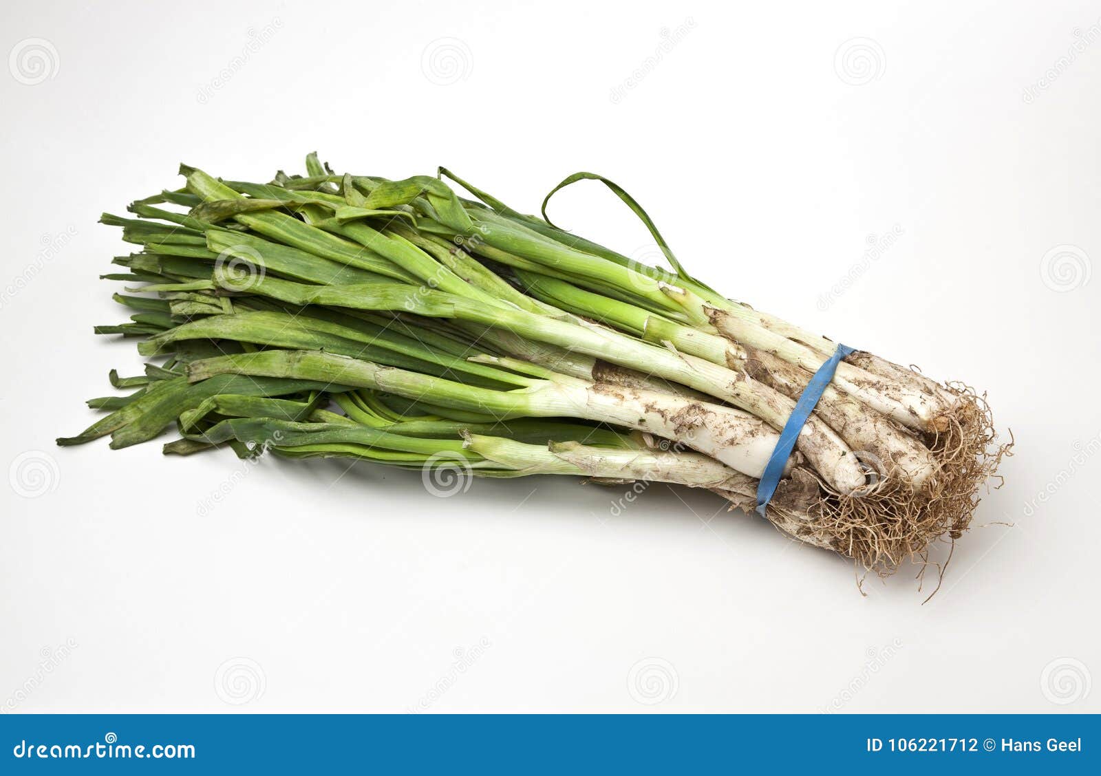 Calcots, Spring Onions from Spain Stock Photo - Image of vegetable ...