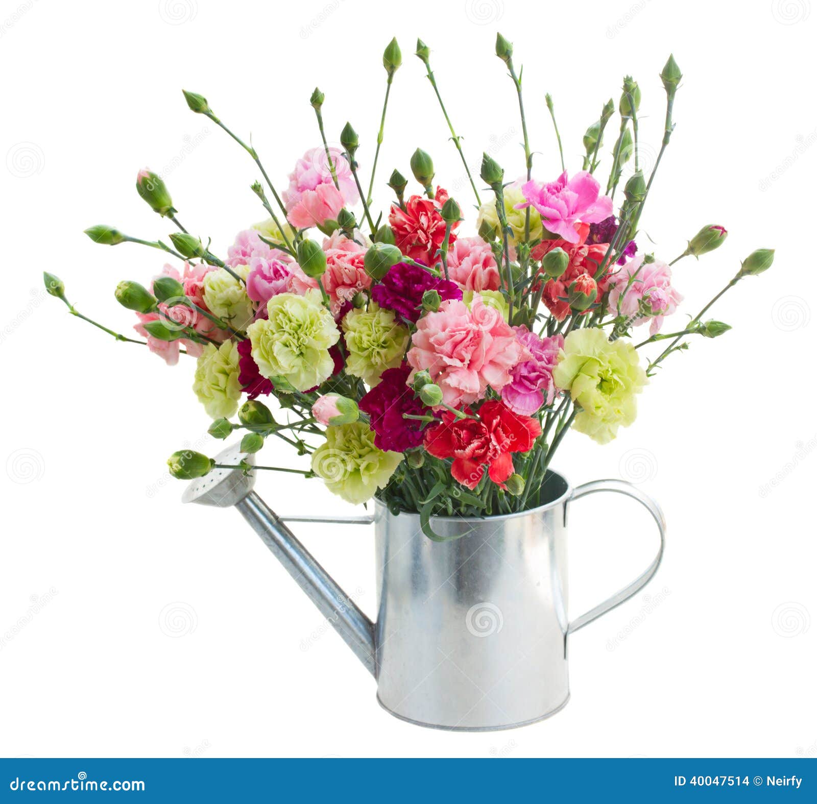 Bunch of carnation flowers stock photo. Image of nature - 40047514