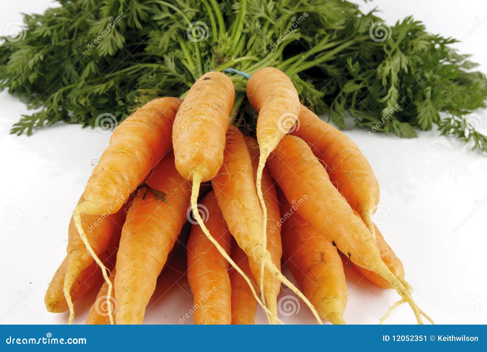 Bunch of Carrots stock image. Image of carrot, color - 12052351