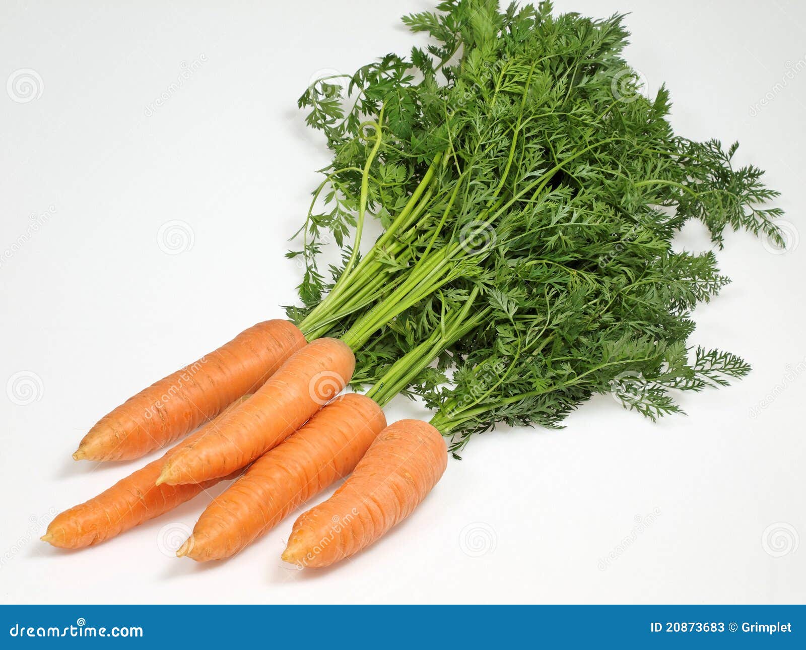Bunch of carrots stock image. Image of garden, ingredient - 20873683