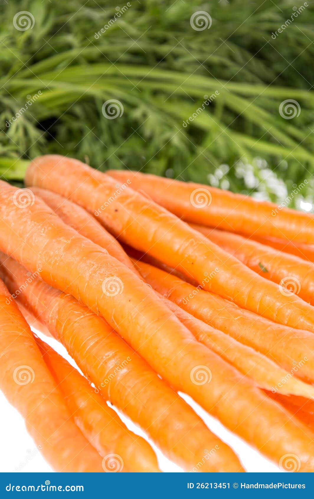 Bunch of Carrots stock image. Image of fresh, natural - 26213451