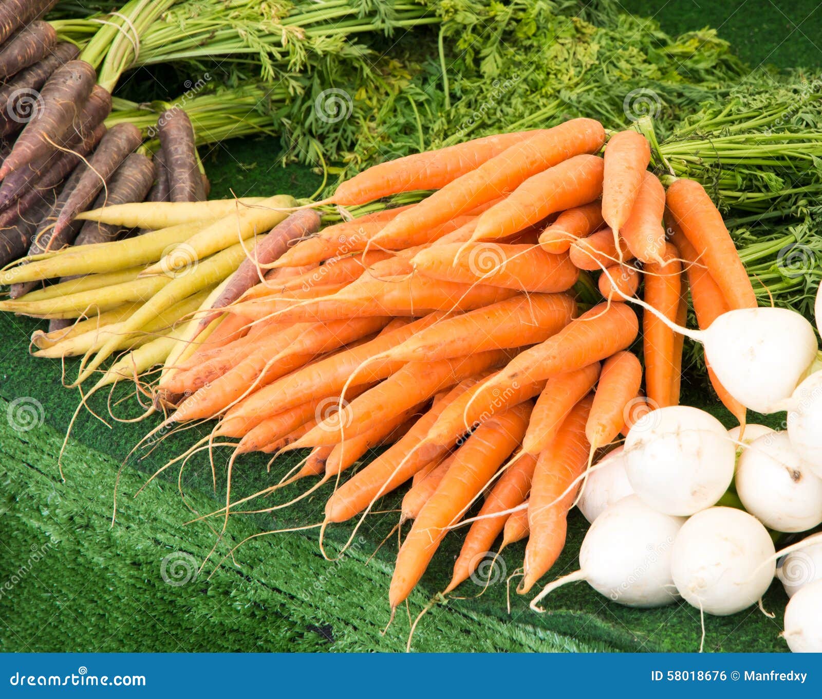 Bunch of Carrots stock photo. Image of food, carrot, bunch - 58018676