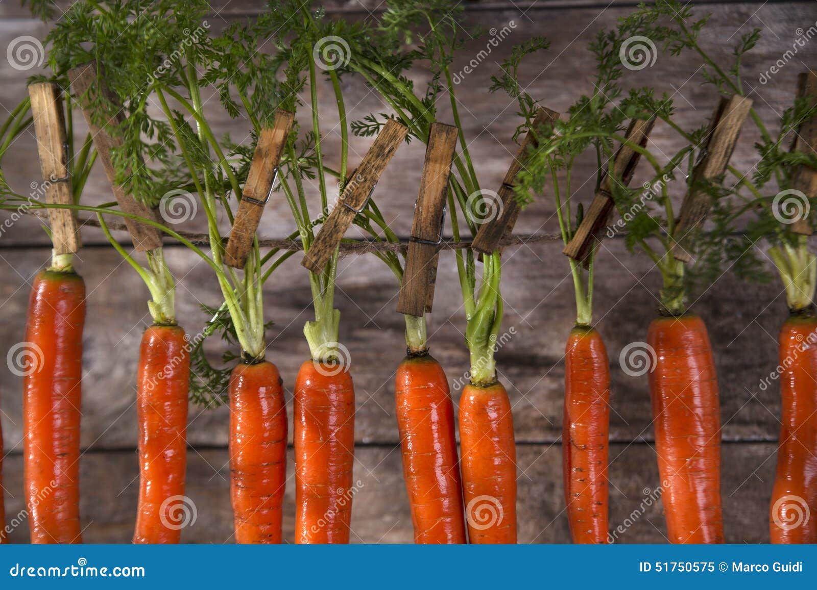 Bunch of carrots stock image. Image of gardening, produce - 51750575