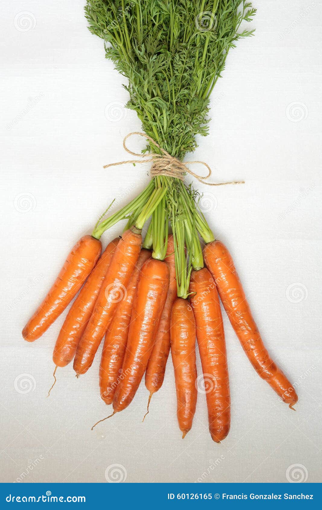 Bunch of carrots stock image. Image of orange, isolated - 60126165