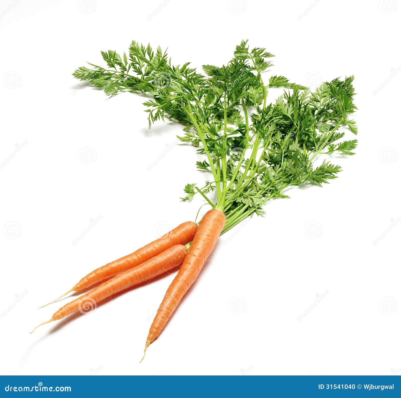 Bunch of carrots stock photo. Image of closeup, nutrition - 31541040