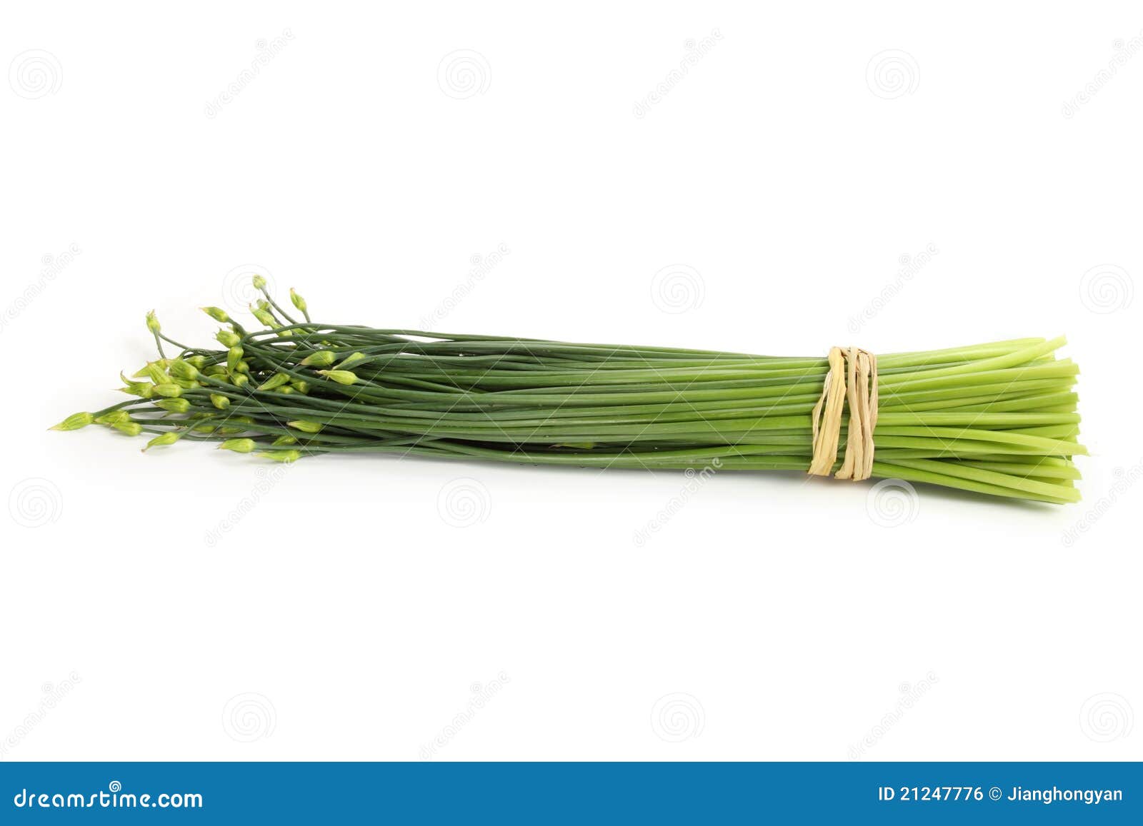 Bunch chives stock photo. Image of force, bunch, chives - 21247776