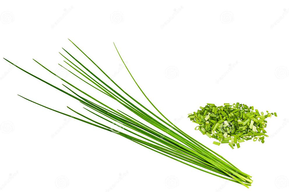 Bunch chives stock photo. Image of aromatic, cuisine - 21983128