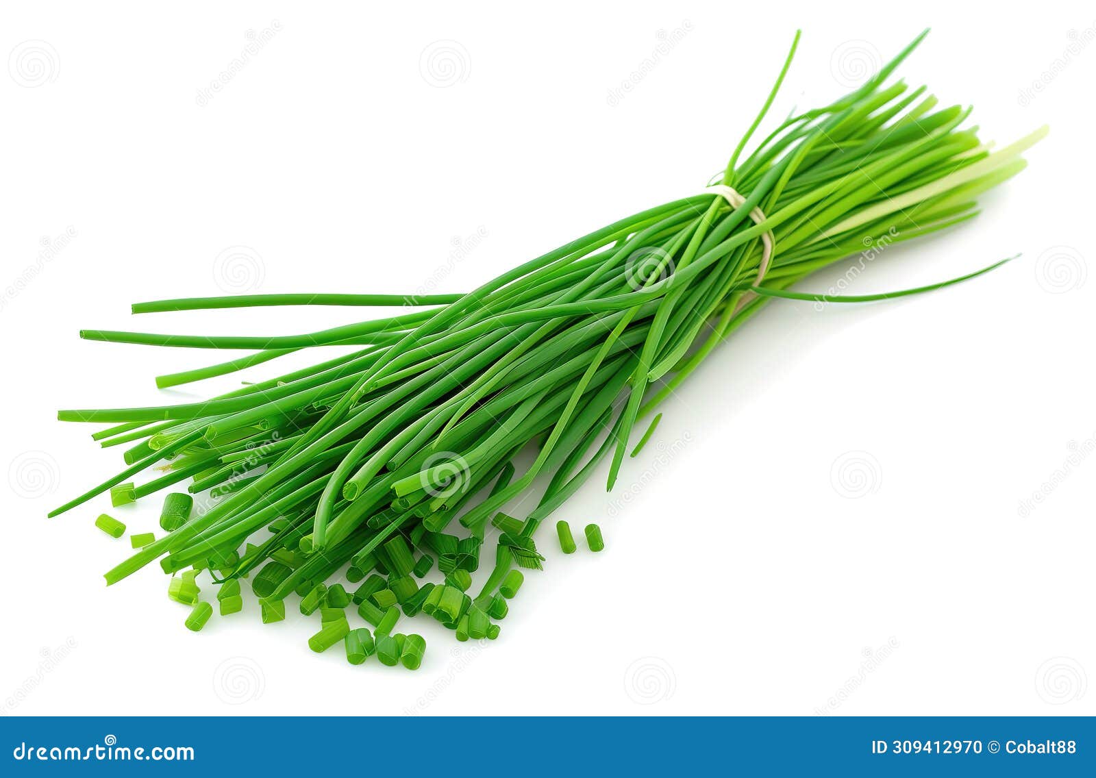 A Bunch of Chives Isolated on White Background Stock Illustration ...