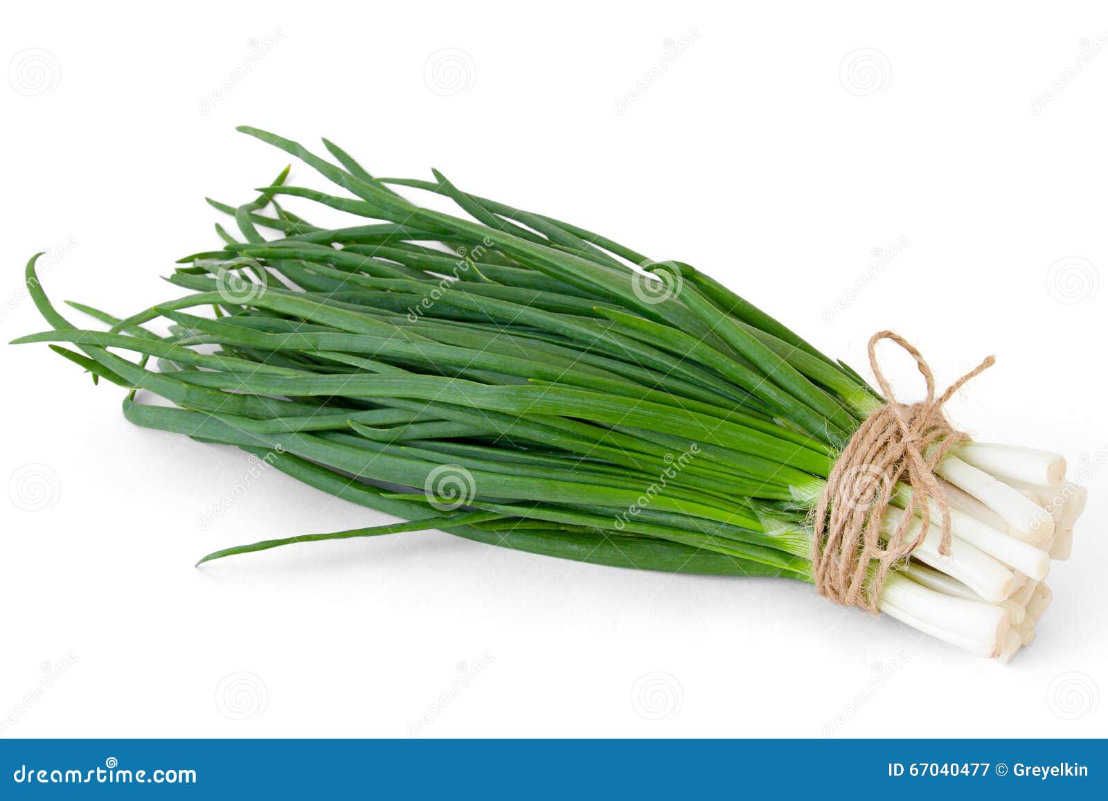 Bunch of chives stock image. Image of lifestyle, plant - 67040477