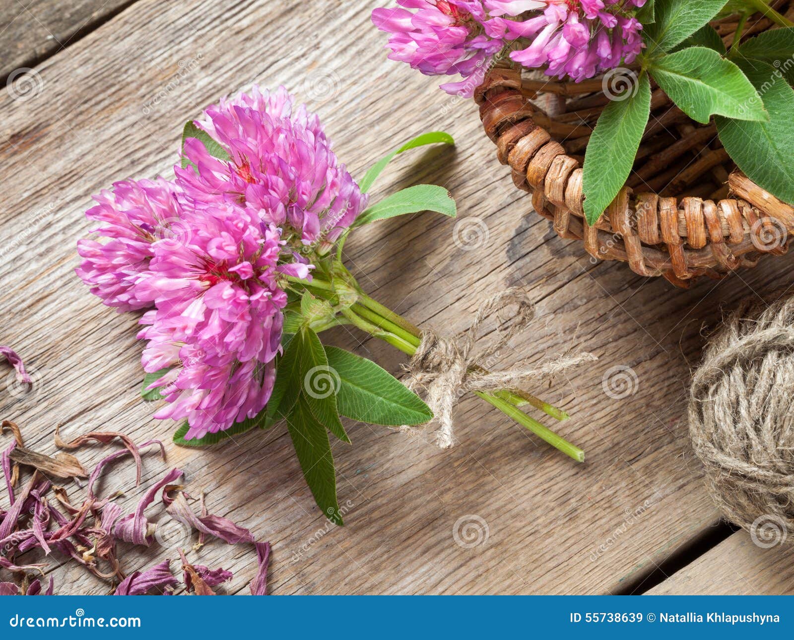 Bunch of Clover and Basket with Flowers Stock Image - Image of herbs ...