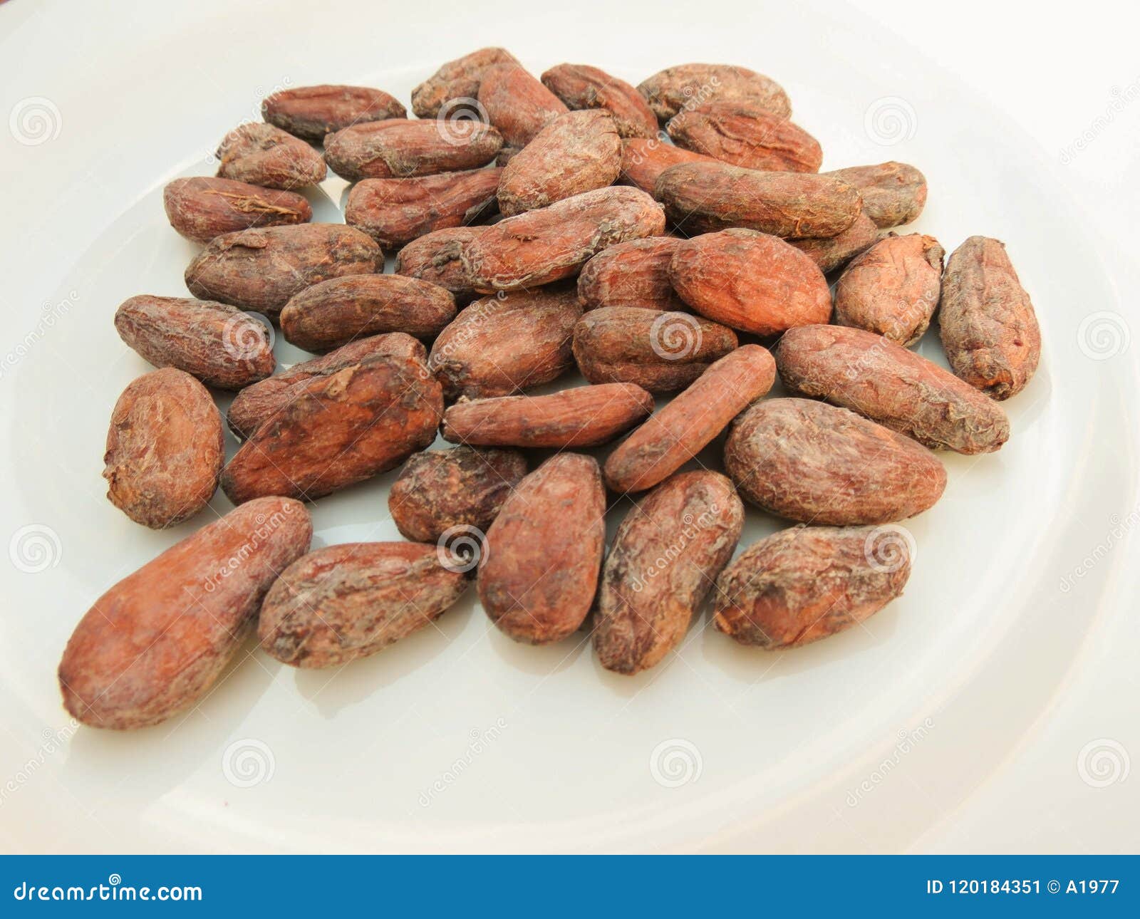 A bunch of cocoa beans stock image. Image of natural - 120184351