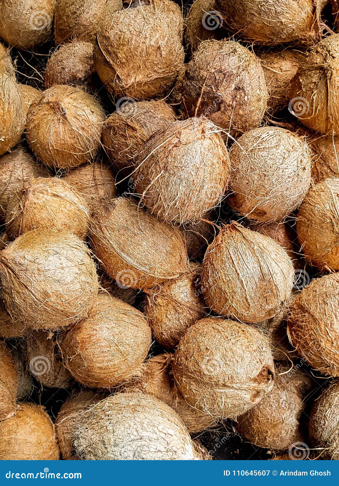 Bunch of coconut stock image. Image of collection, healthy - 110645607