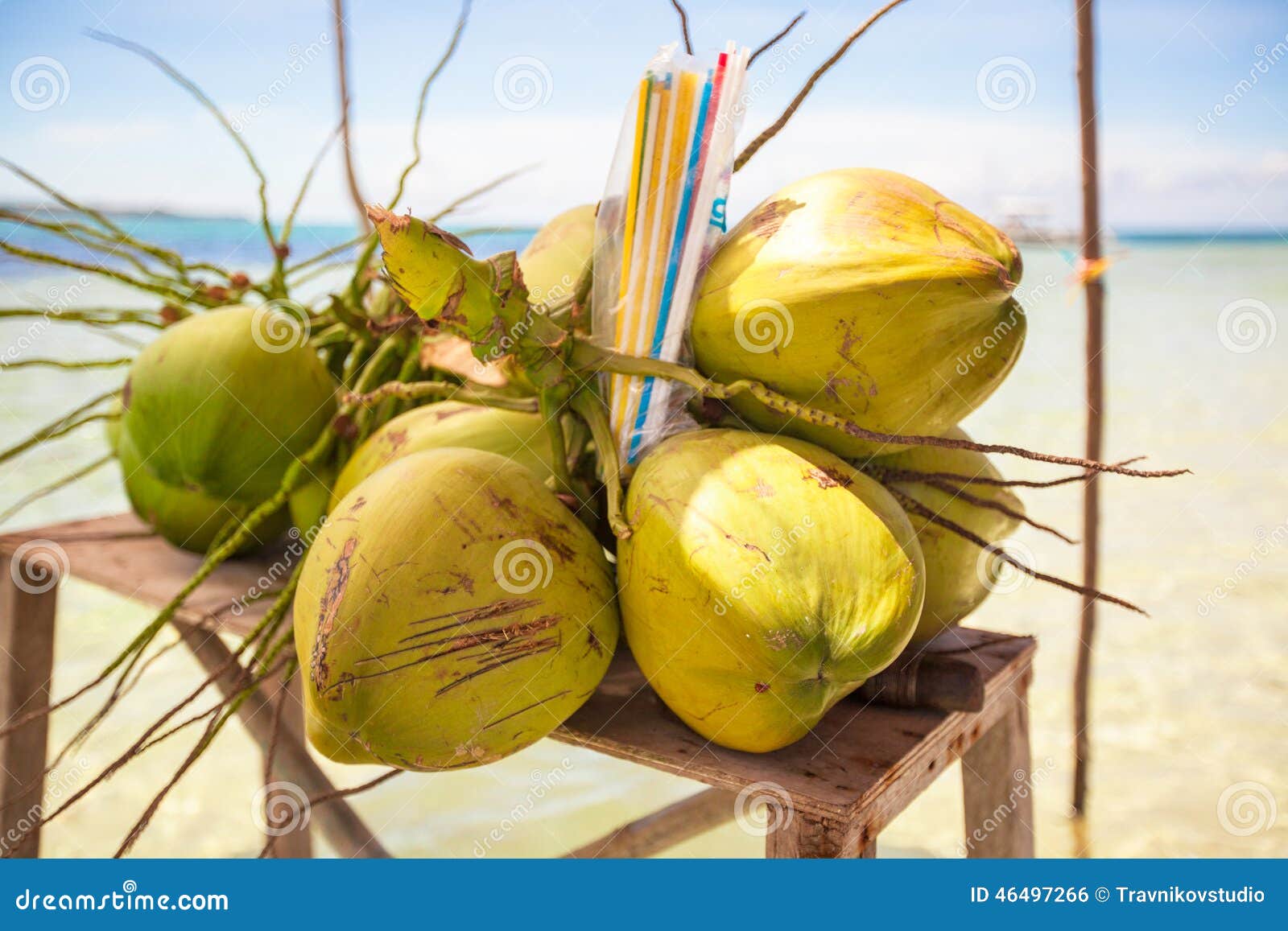 Bunch of Coconuts on Tropical Island Stock Photo - Image of coco, diet ...