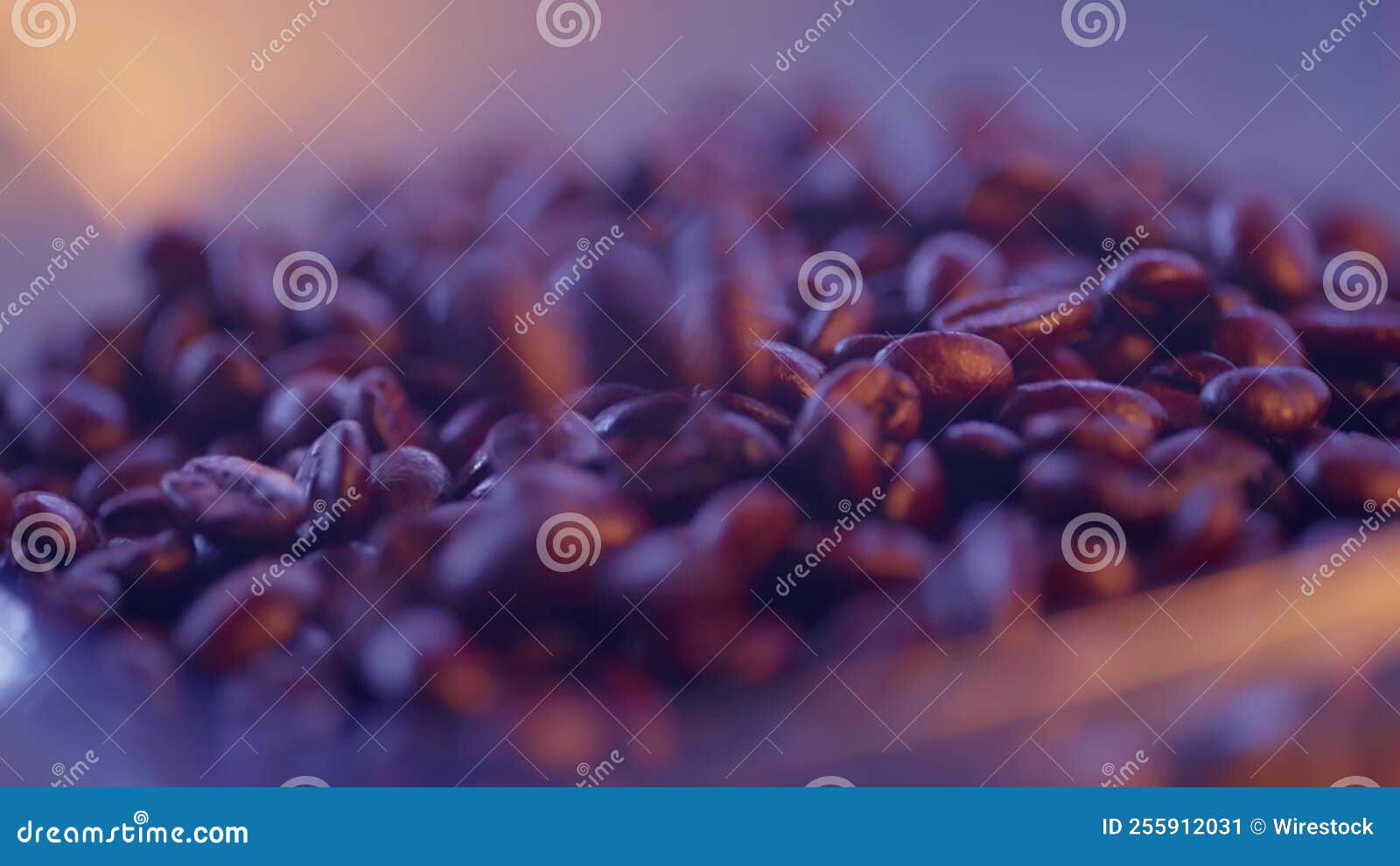Bunch of Coffee Beans Falling into a Pile in a Container Stock Video ...