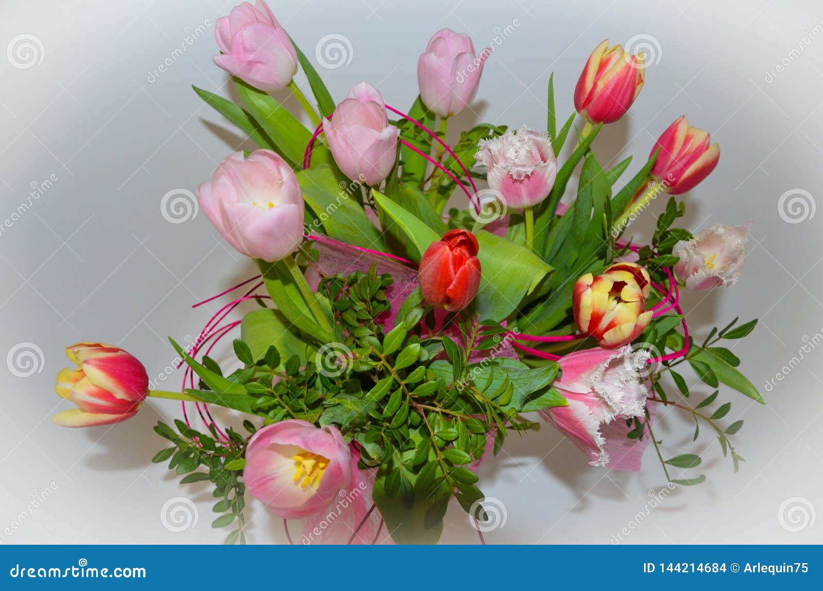 A bunch of colorful tulips stock photo. Image of petal - 144214684