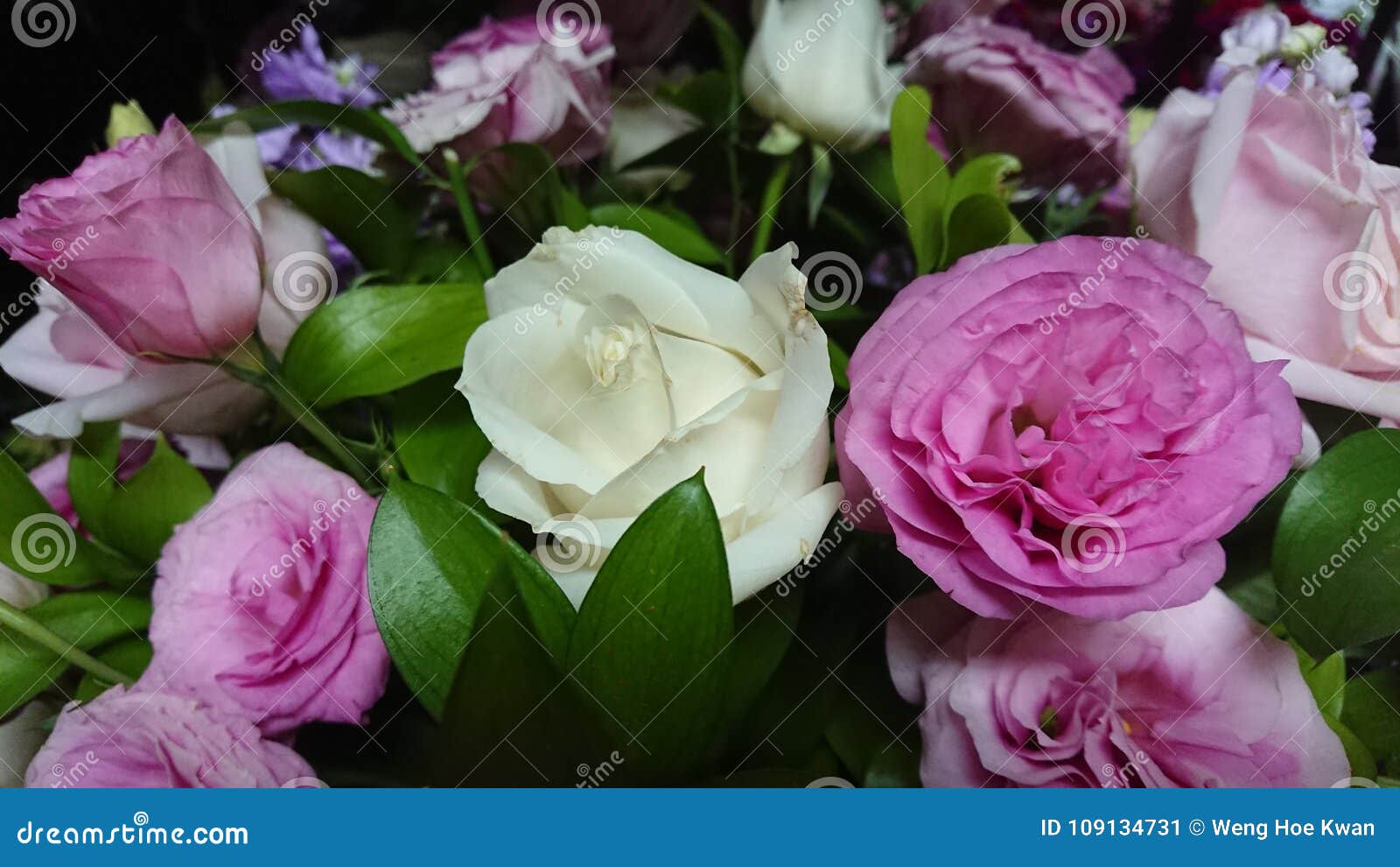 Bunch of coloured roses stock image. Image of bunch - 109134731