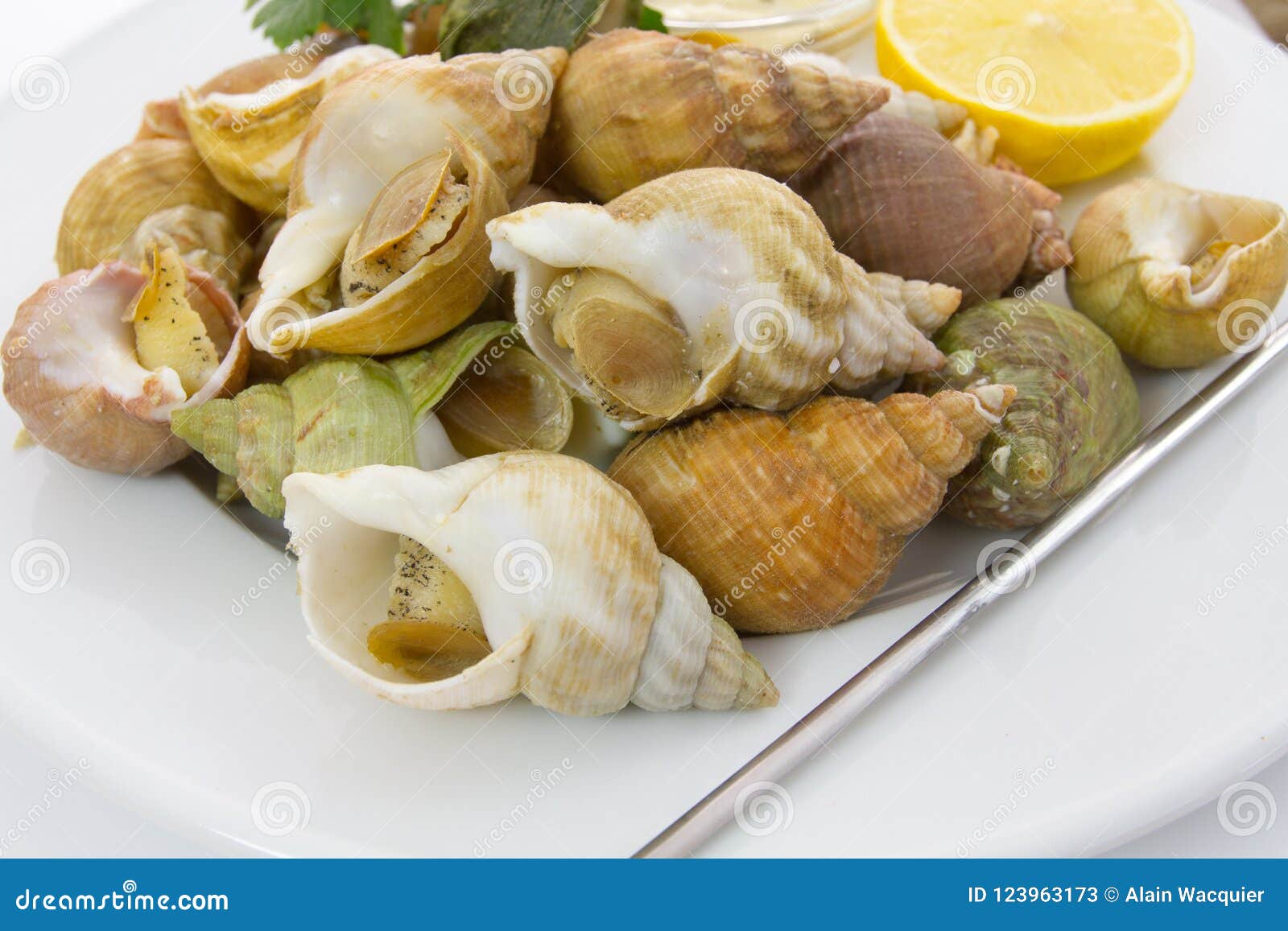 Whelk cooked stock image. Image of whelk, market, seafood - 123963173
