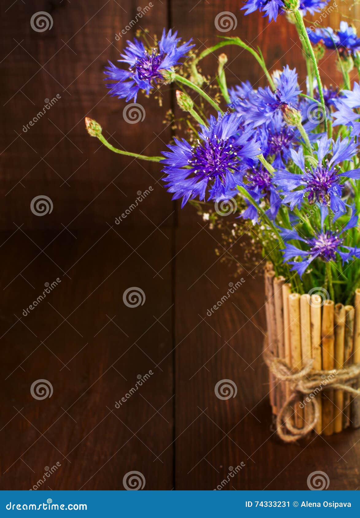 Bunch of cornflowers stock image. Image of blue, closeup - 74333231