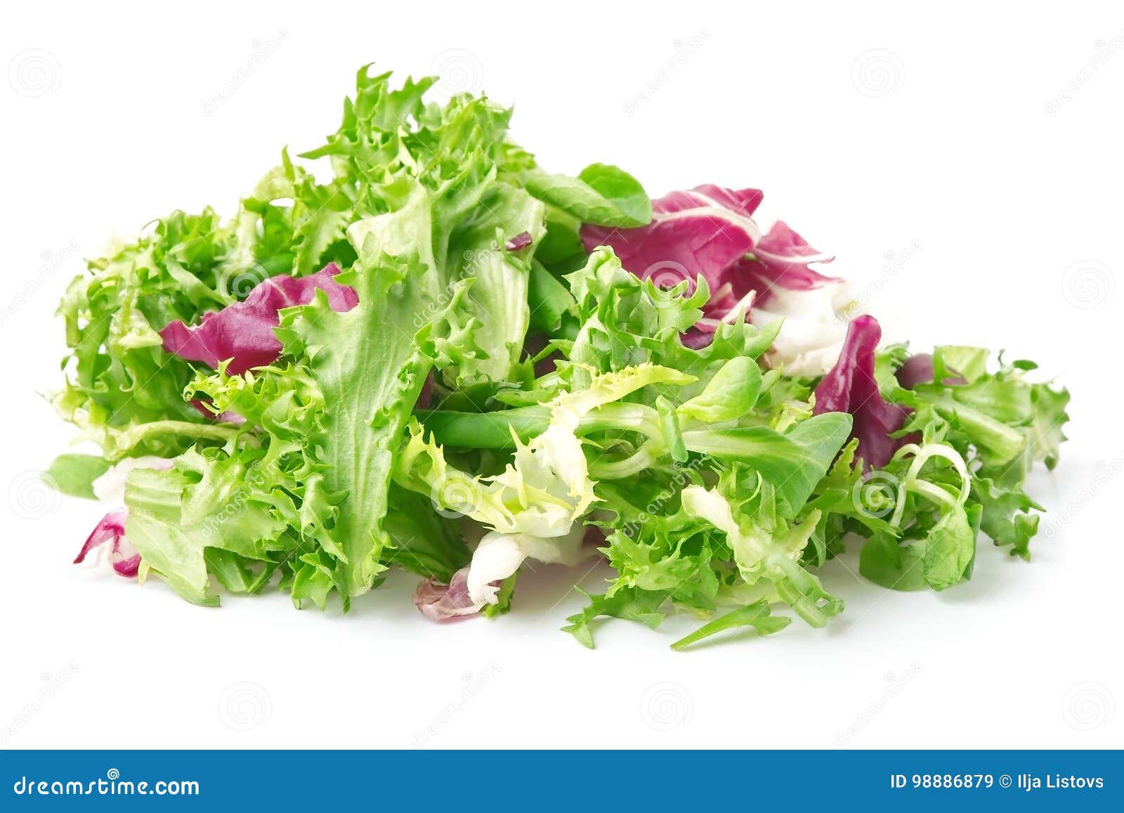 Bunch of crispy mixed leaf stock image. Image of diet - 98886879