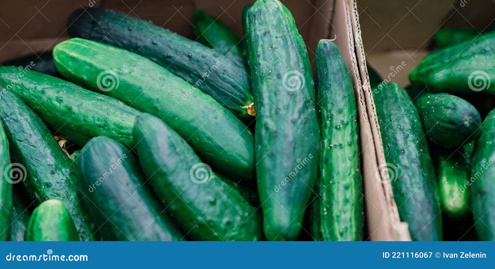 Bunch of Cucumbers on Boxes in Supermarket Stock Image - Image of plant ...
