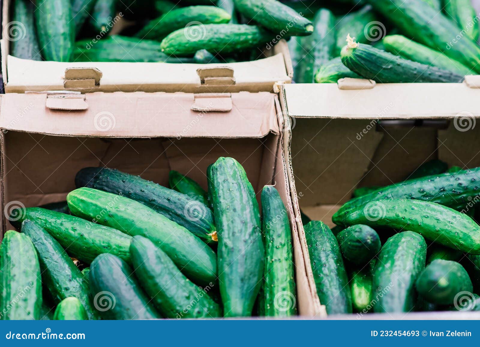 Bunch of Cucumbers on Boxes in Supermarket Stock Image - Image of ...