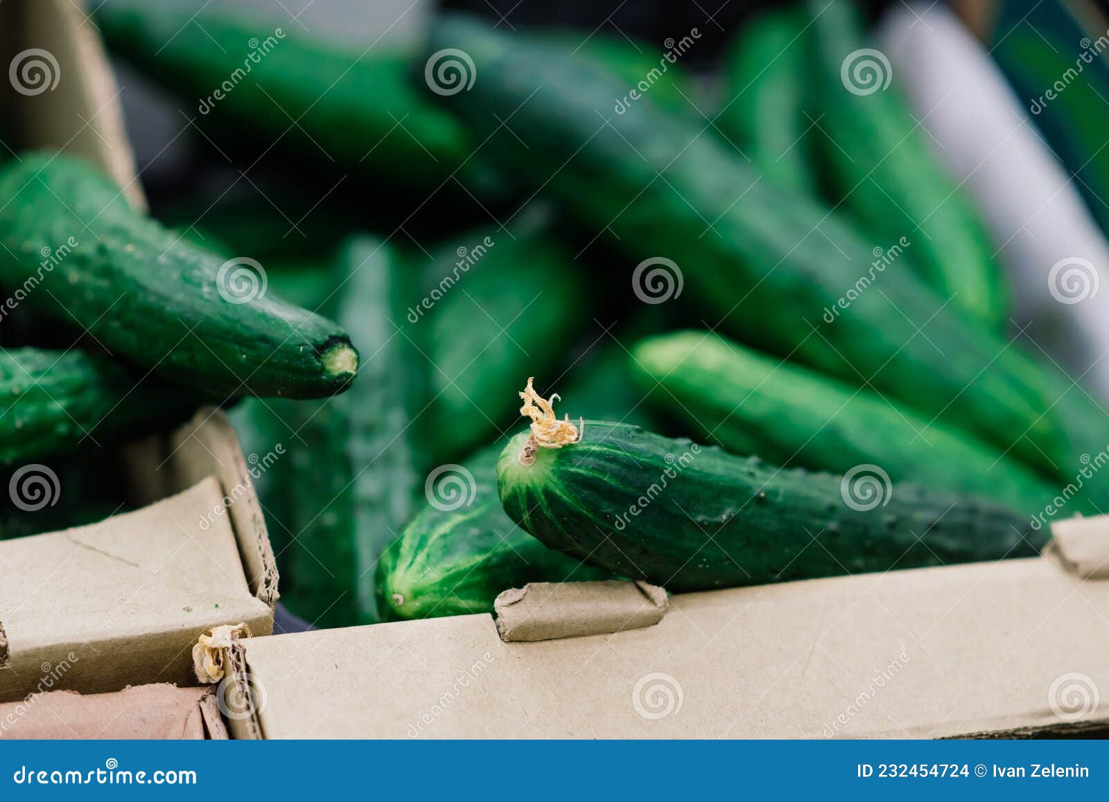 Bunch of Cucumbers on Boxes in Supermarket Stock Photo - Image of ...