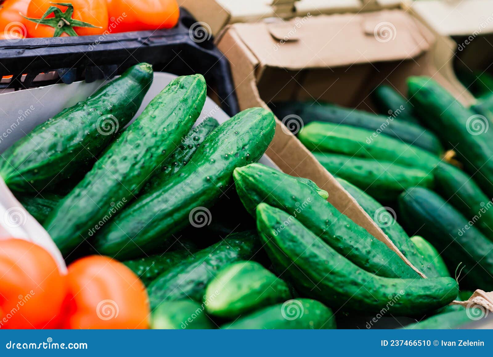 Bunch of Cucumbers on Boxes in Supermarket Stock Photo - Image of ...
