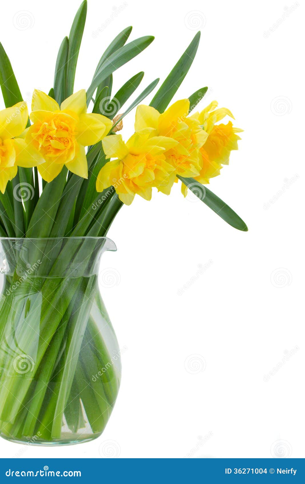 Bunch of daffodils stock photo. Image of lily, flower - 36271004